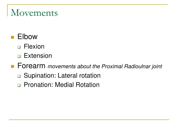 PPT - The Elbow and Radioulnar Joints PowerPoint Presentation - ID:601170