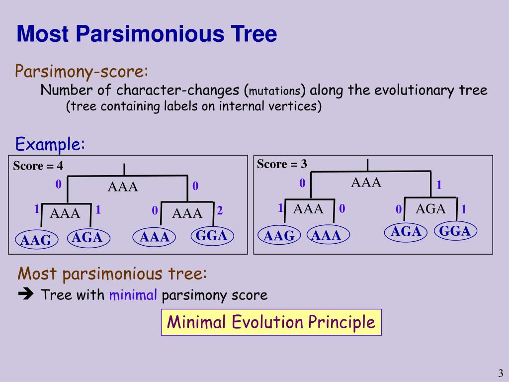 PPT - Phylogenetic Trees - Parsimony Tutorial #11 PowerPoint ... PPT - Phylogenetic Trees - Parsimony Tutorial #11 PowerPoint ...