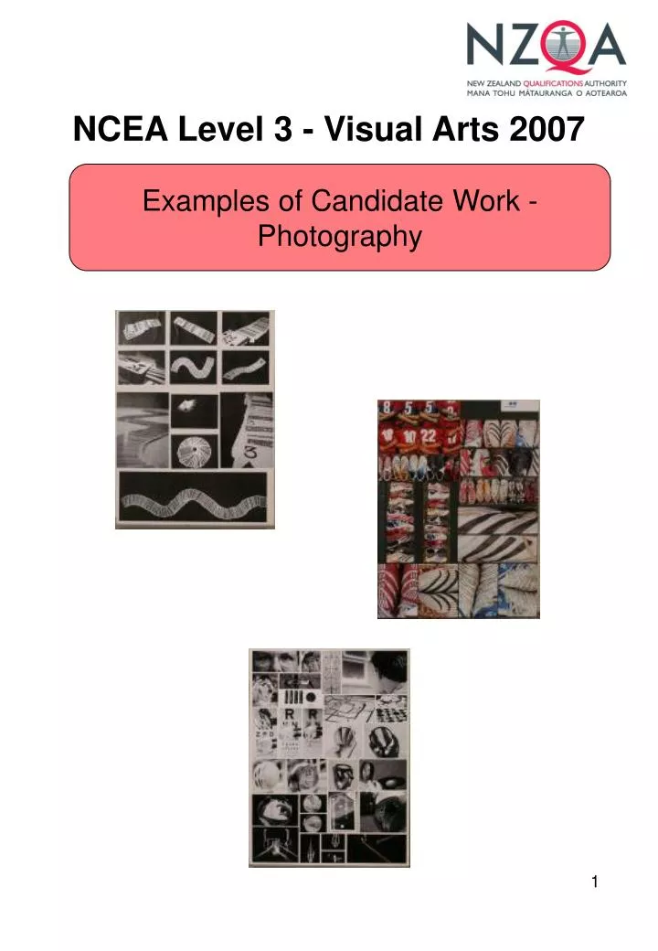 PPT - NCEA Level 3 - Visual Arts 2007 PowerPoint Presentation, free ...