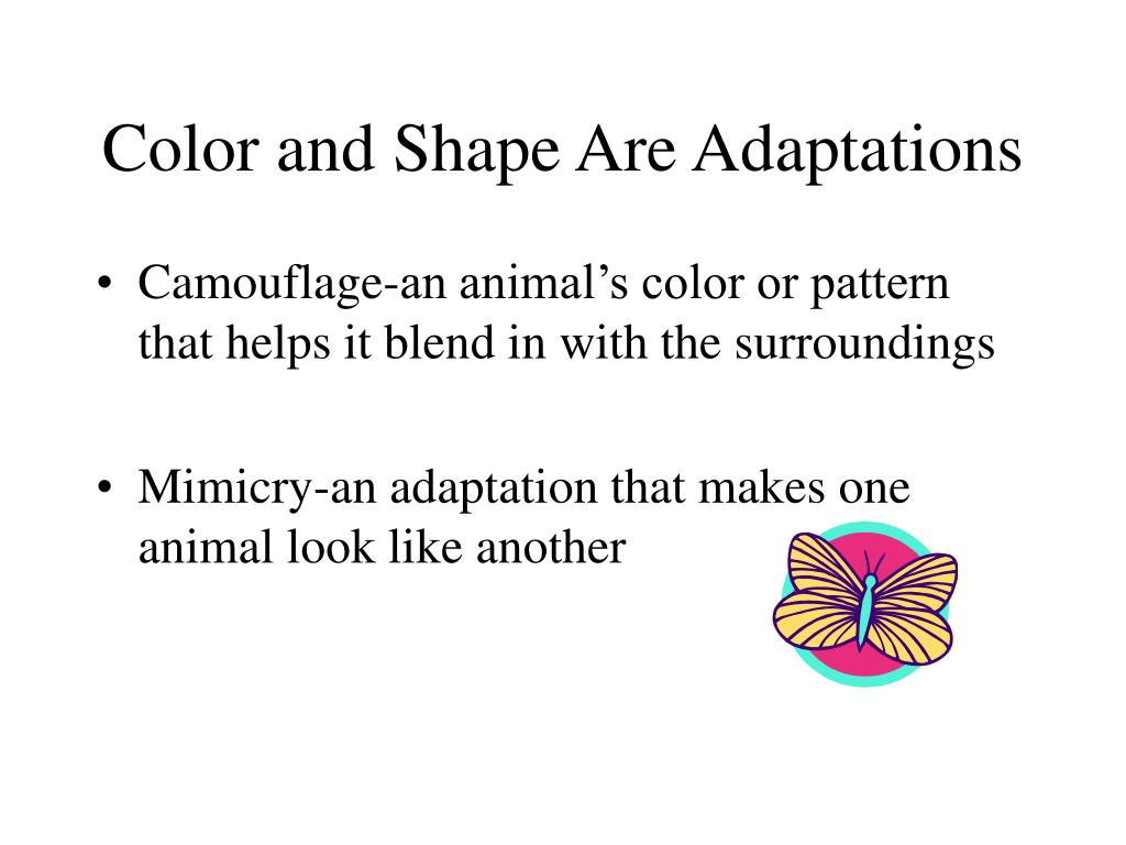 PPT - Animals Adaptations:Body Parts PowerPoint Presentation, free ...