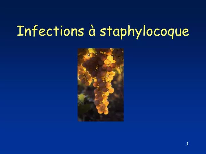 PPT - Infections à staphylocoque PowerPoint Presentation, free download ...