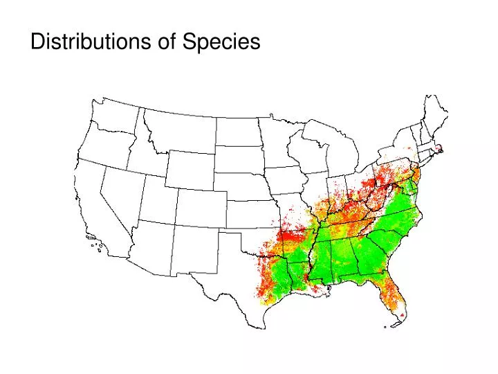 PPT - Distributions of Species PowerPoint Presentation, free download ...