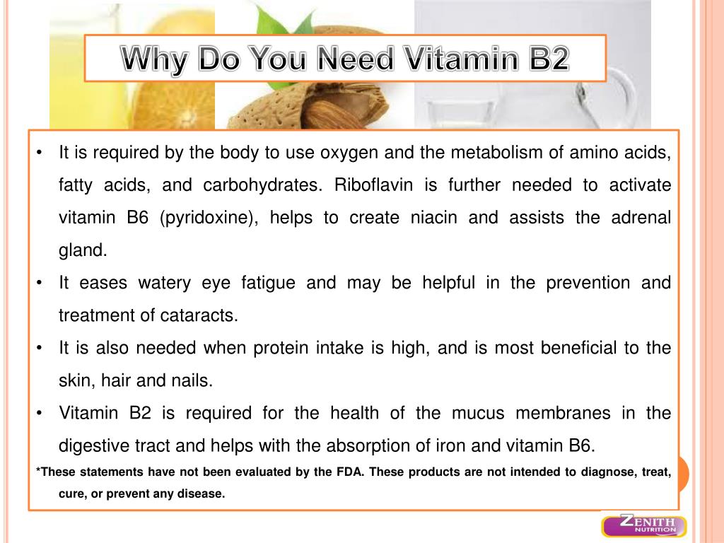 Ppt Zenith Nutrition Vitamin B2 Powerpoint Presentation Free