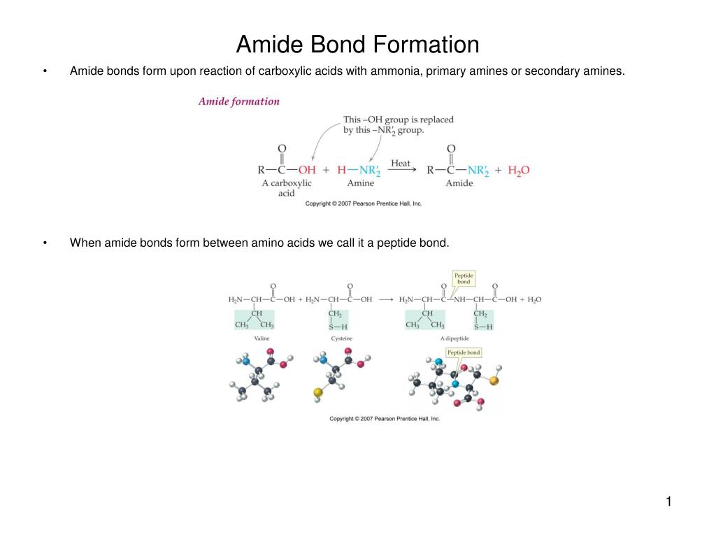 PPT Amide Bond Formation PowerPoint Presentation Free Download ID