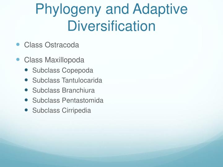 PPT - Crustaceans PowerPoint Presentation - ID:610201