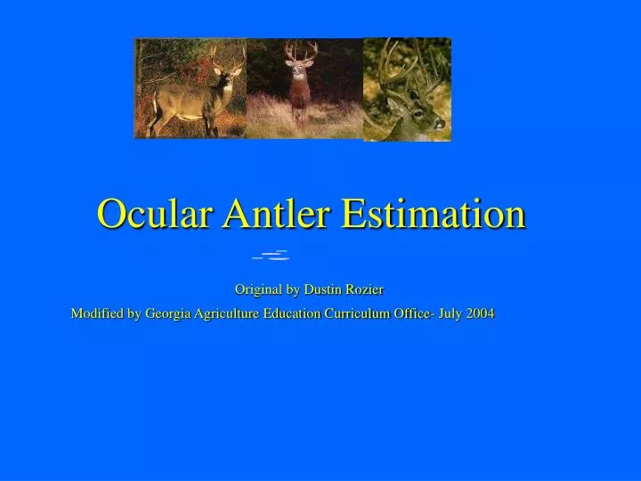 PPT - Ocular Antler Estimation Original by Dustin Rozier Modified by ...