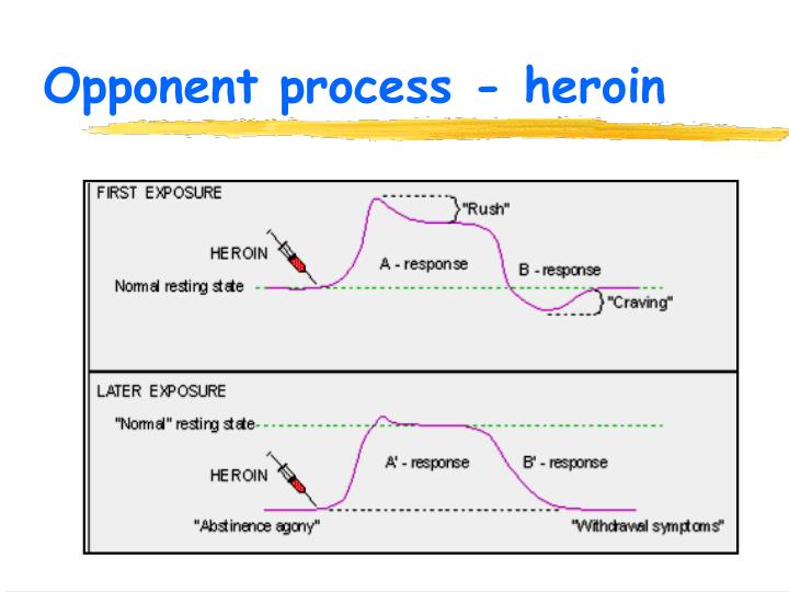 PPT - Neurobiology of Addiction PowerPoint Presentation - ID:6110