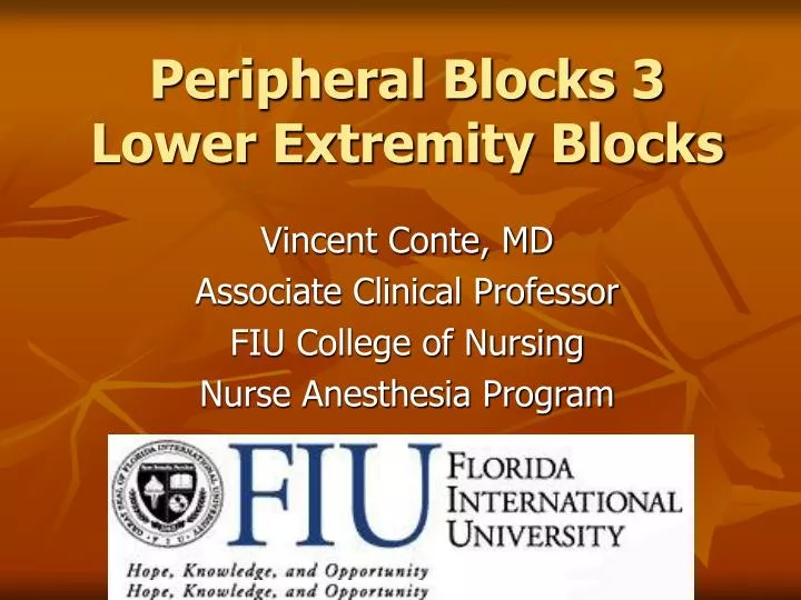 PPT - Peripheral Blocks 3 Lower Extremity Blocks PowerPoint ...