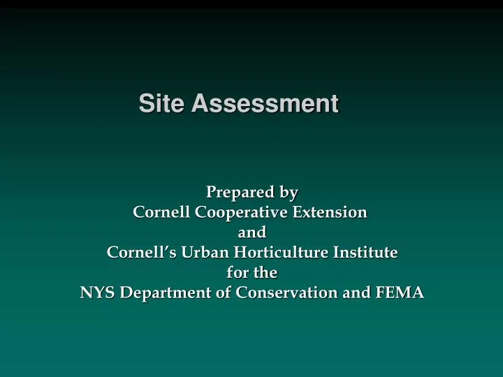 PPT - Site Assessment PowerPoint Presentation, free download - ID:612578