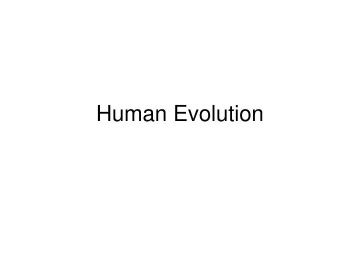 PPT - Human Evolution PowerPoint Presentation, free download - ID:613410
