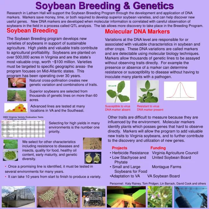 PPT - Soybean Breeding & Genetics PowerPoint Presentation, free ...