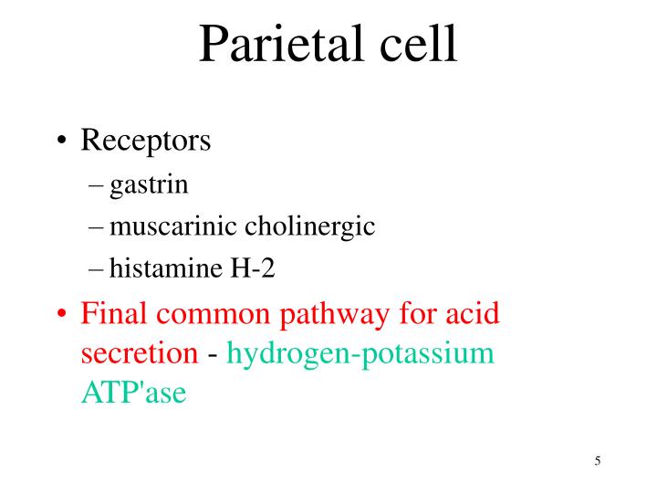 PPT - Gastrointestinal Agents PowerPoint Presentation - ID:613701