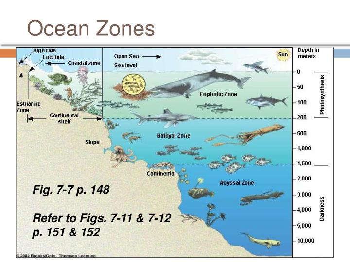PPT - Aquatic Ecology: Biodiversity in Aquatic Systems PowerPoint ...
