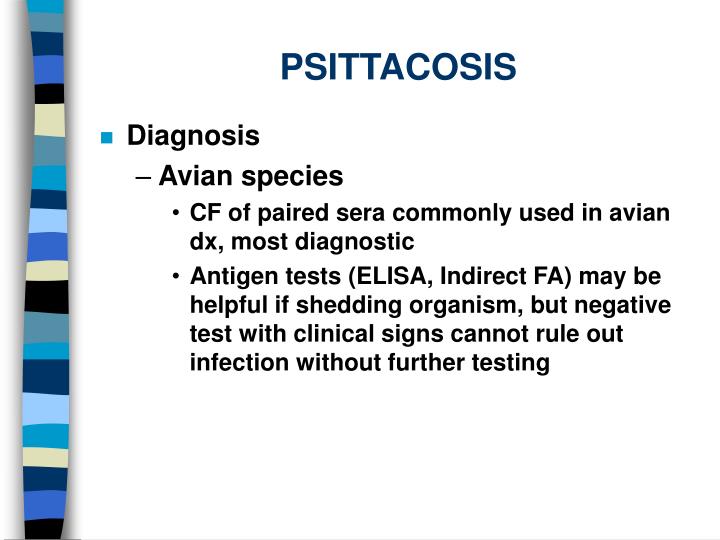 PPT - PSITTACOSIS PowerPoint Presentation - ID:61507
