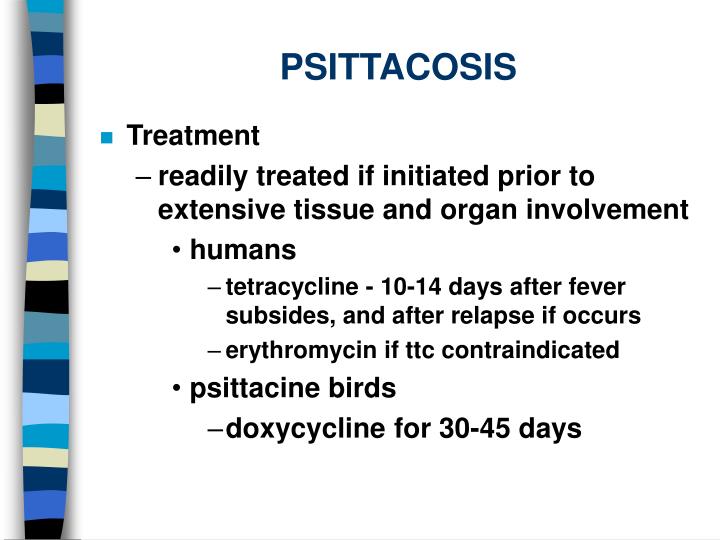PPT - PSITTACOSIS PowerPoint Presentation - ID:61507
