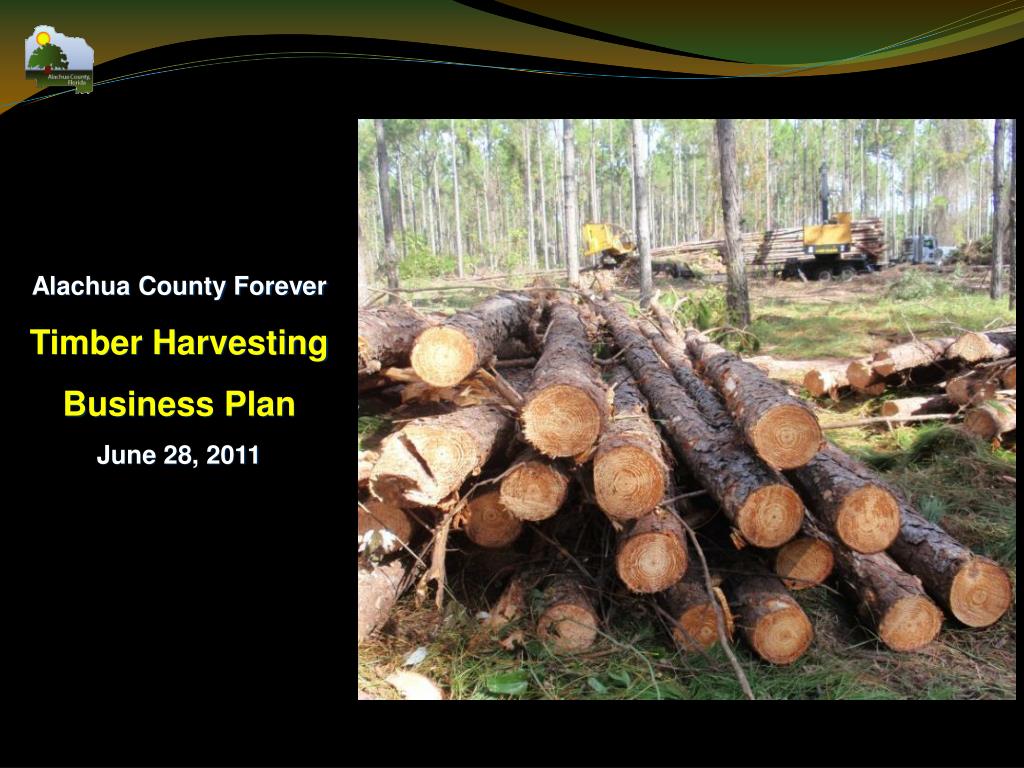 PPT - Alachua County Forever Timber Harvesting Business Plan June 28 ...
