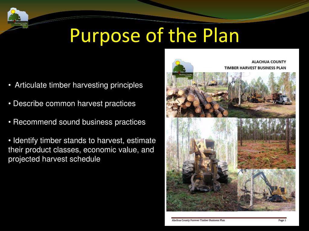 PPT - Alachua County Forever Timber Harvesting Business Plan June 28 ...