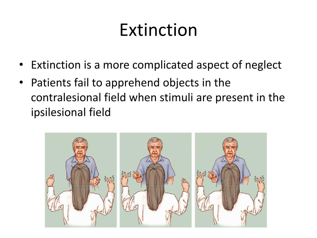 PPT Disorders Of Attention Orienting PowerPoint Presentation Free PPT Disorders Of Attention Orienting PowerPoint Presentation Free