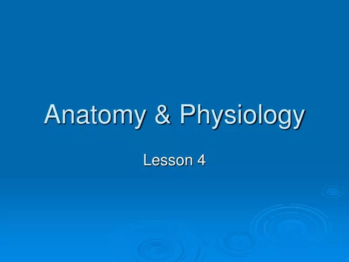 PPT - Anatomy & Physiology PowerPoint Presentation, free download - ID:617069