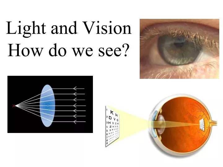 PPT - Light and Vision How do we see? PowerPoint Presentation, free ...