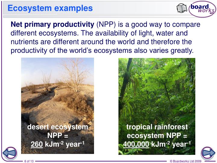 PPT - Energy flow through ecosystems PowerPoint Presentation - ID:618027