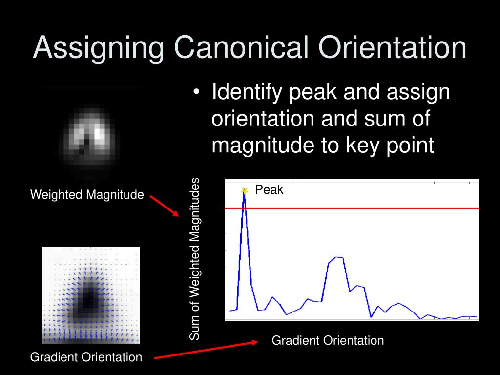 PPT - Object Recognition from Local Scale-Invariant Features PowerPoint ...