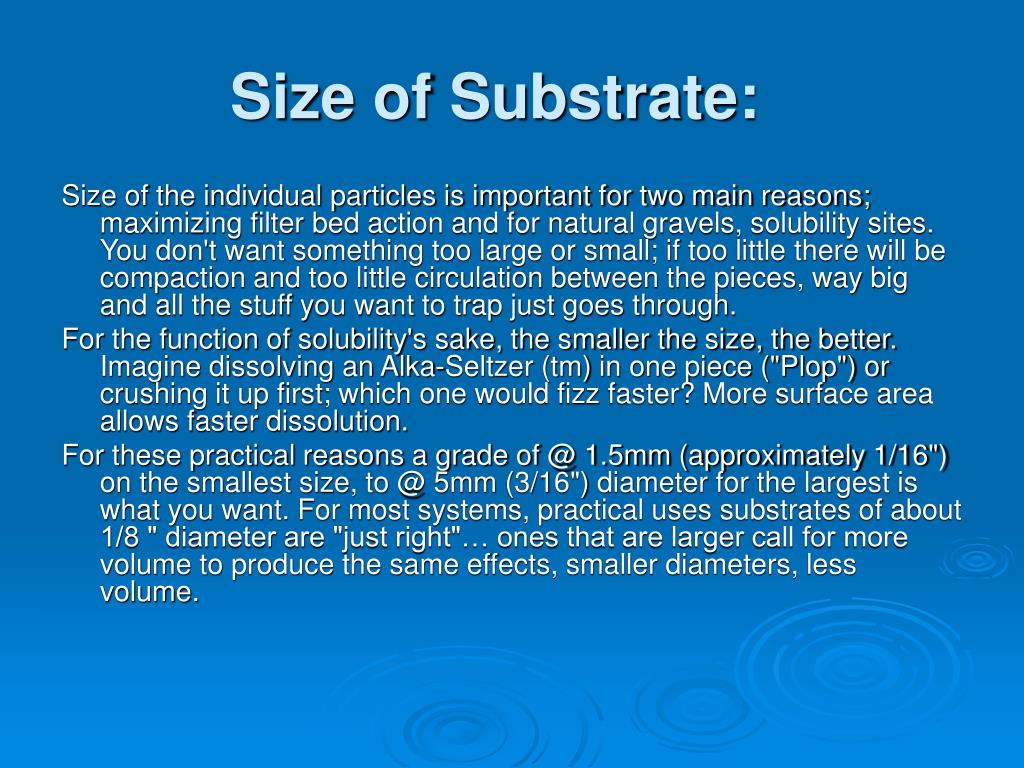 PPT - Safe Plants and Decorations for Your Aquarium and Aquatic Friends ...