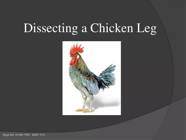 PPT - Dissecting a Chicken Leg PowerPoint Presentation, free download ...