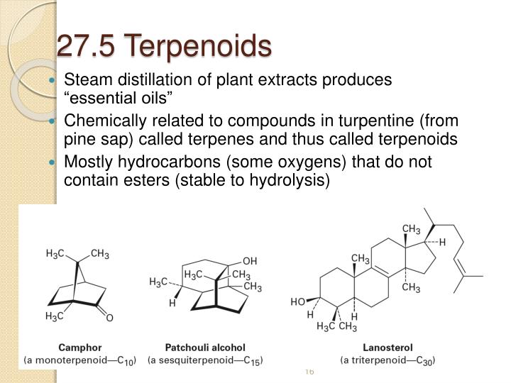 PPT - Chapter 27. Biomolecules : Lipids PowerPoint Presentation - ID:621330