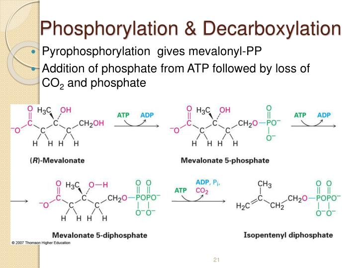 PPT - Chapter 27. Biomolecules : Lipids PowerPoint Presentation - ID:621330