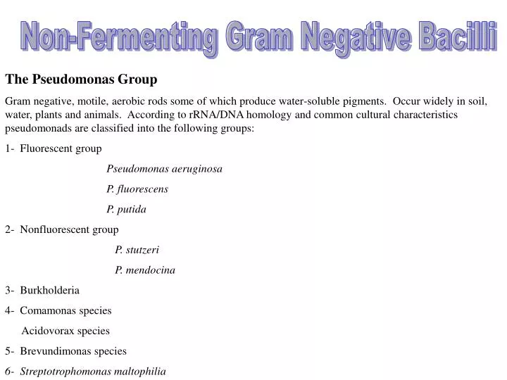 PPT - Non-Fermenting Gram Negative Bacilli PowerPoint Presentation ... PPT - Non-Fermenting Gram Negative Bacilli PowerPoint Presentation ...