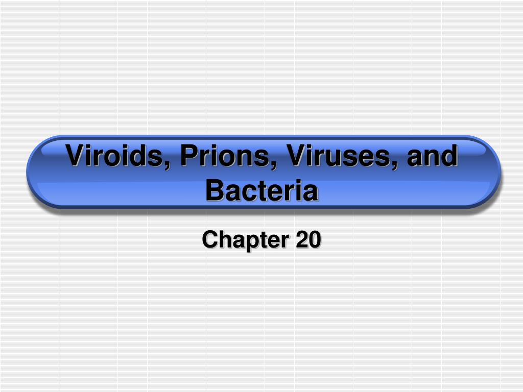 PPT - Viroids, Prions, Viruses, and Bacteria PowerPoint Presentation ... PPT - Viroids, Prions, Viruses, and Bacteria PowerPoint Presentation ...