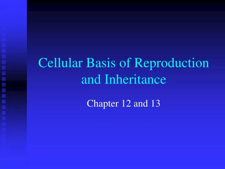 Ppt Cellular Basis Of Reproduction And Inheritance Powerpoint