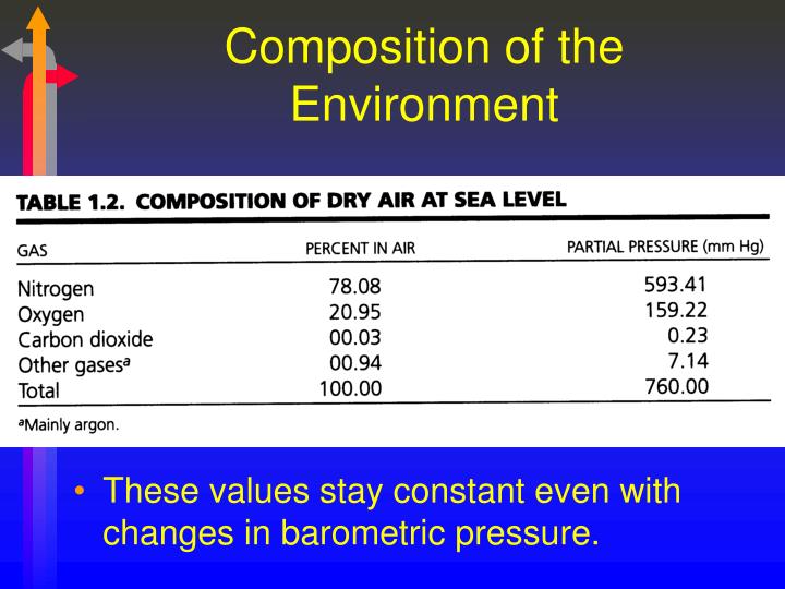 PPT - ARTERIAL BLOOD GAS ANALYSIS PowerPoint Presentation - ID:622540