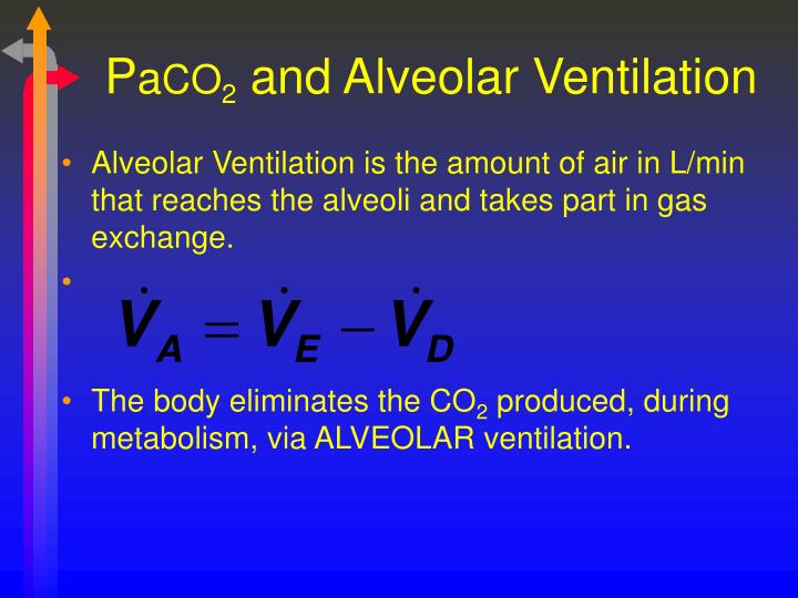 PPT - ARTERIAL BLOOD GAS ANALYSIS PowerPoint Presentation - ID:622540