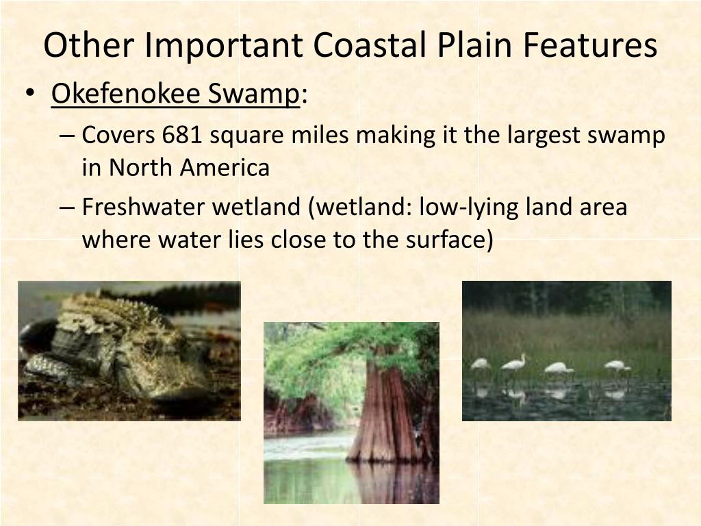 PPT - Geographic Regions of Georgia PowerPoint Presentation, free ...