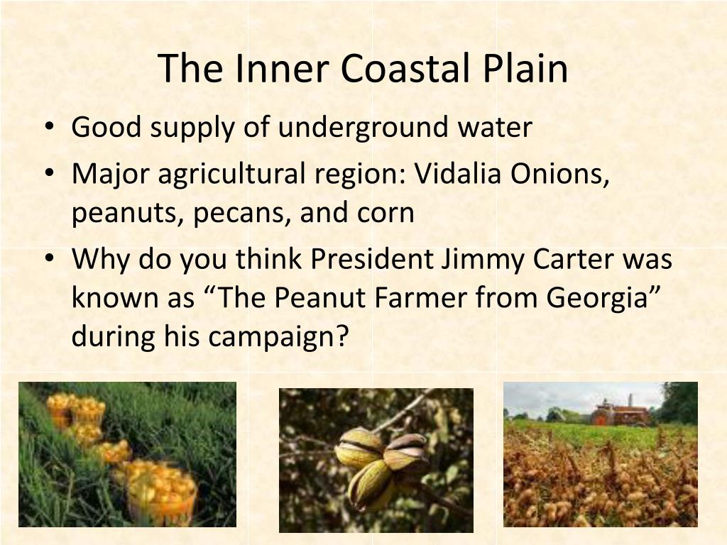 PPT - Geographic Regions of Georgia PowerPoint Presentation, free ...