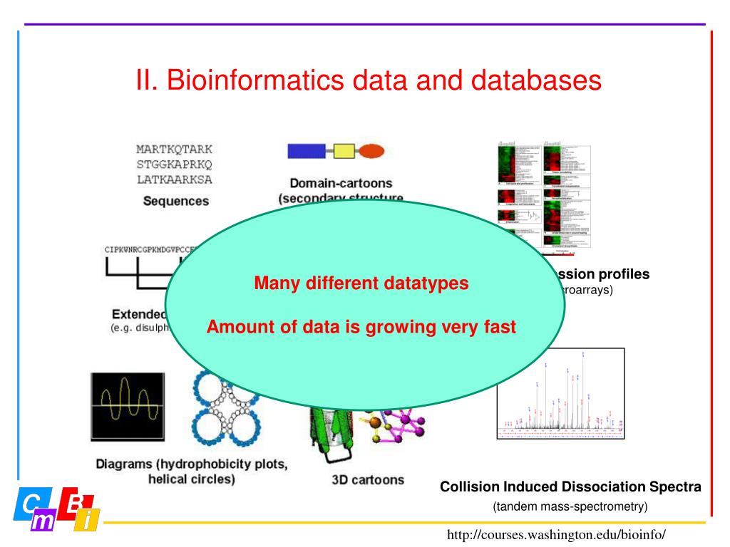 PPT - Bioinformatics databases & sequence retrieval PowerPoint ... PPT - Bioinformatics databases & sequence retrieval PowerPoint ...