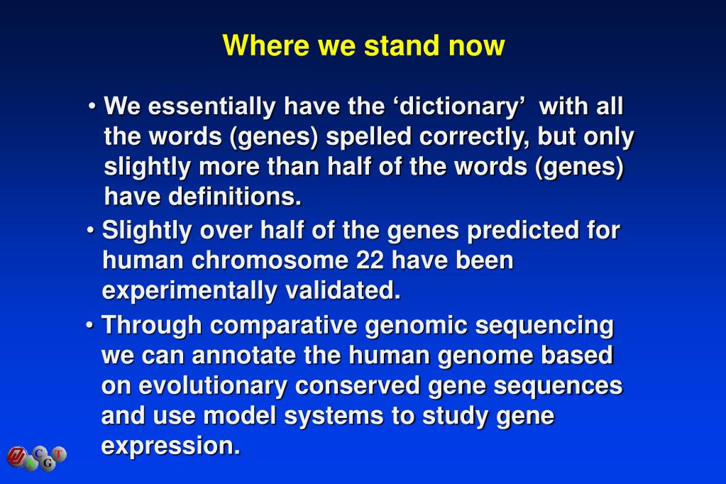 Ppt Comparative Analysis Of Human Chromosome 22q11 1 Q12 3 With