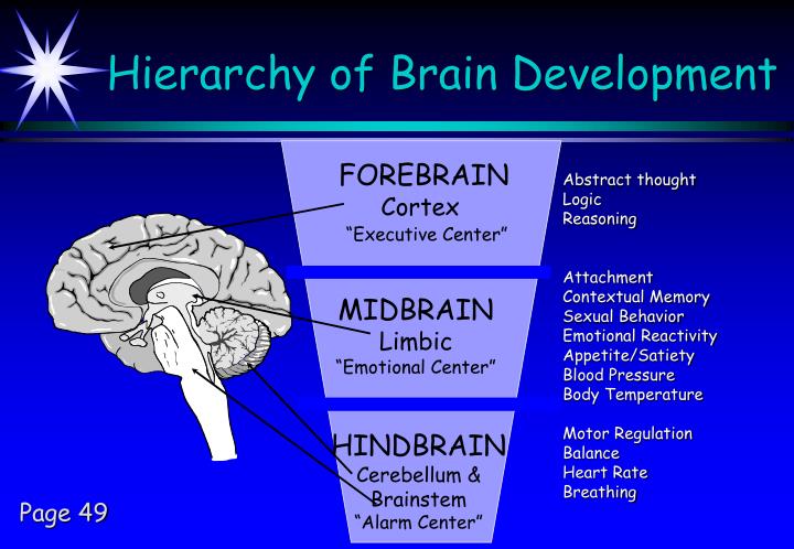 PPT - Understanding Behavior from the Outside In Children with ...
