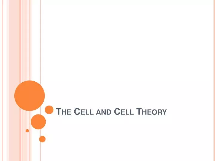 PPT - The Cell and Cell Theory PowerPoint Presentation, free download - ID:623636