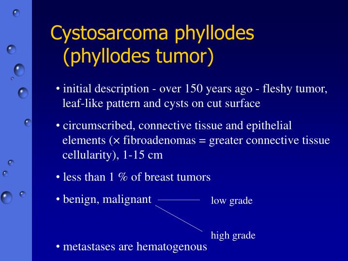 PPT - Pathology of the breast PowerPoint Presentation - ID:624132