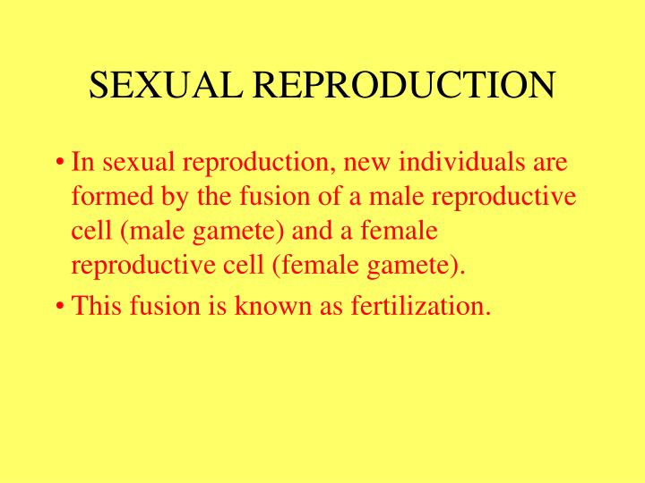 PPT - The two modes of Reproduction PowerPoint Presentation - ID:624634