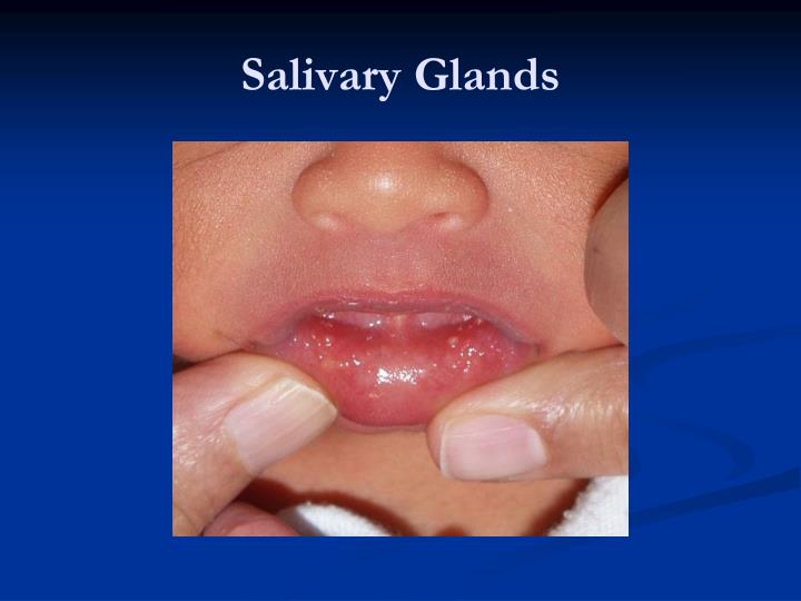 PPT - Common Newborn Findings PowerPoint Presentation - ID:625692