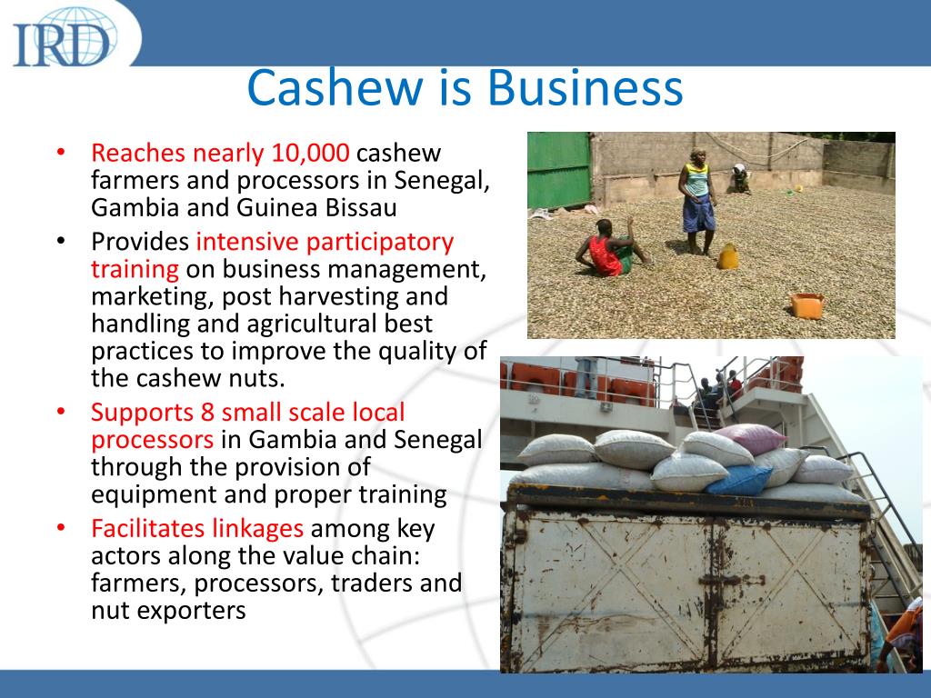 PPT - Cashew Value Chain Competitive Enhancement Project: in the Gambia ...