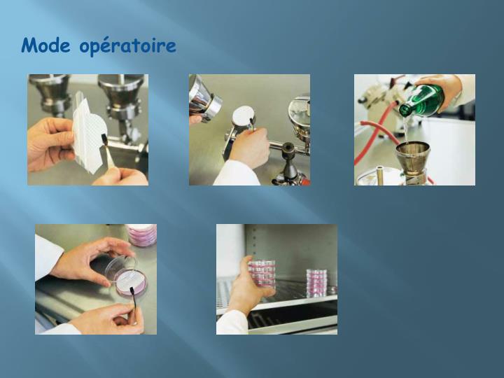 PPT - Bactériologie des eaux PowerPoint Presentation - ID:626466