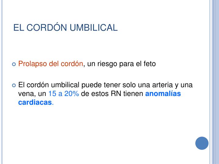 PPT - LA PLACENTA Y LAS MEMBRANAS FETAL PowerPoint Presentation - ID:626618