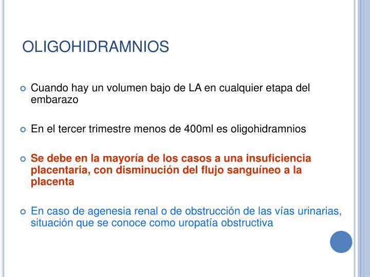 PPT - LA PLACENTA Y LAS MEMBRANAS FETAL PowerPoint Presentation - ID:626618