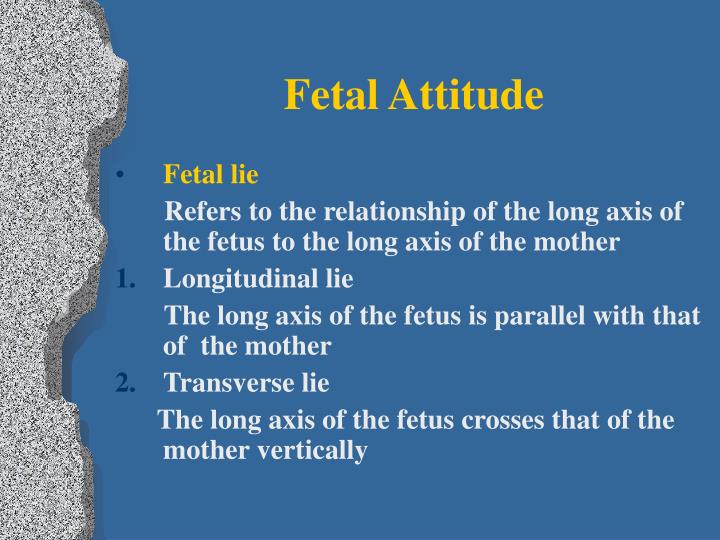 PPT - Diagnosis of Pregnancy PowerPoint Presentation - ID:626685