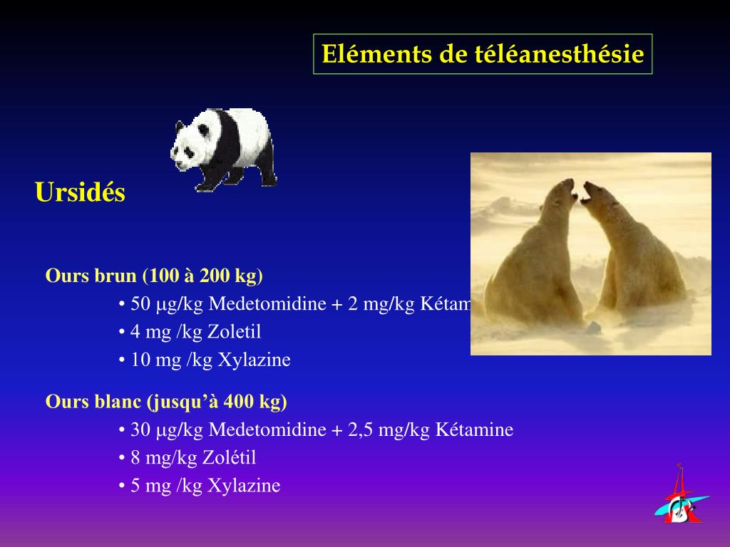 PPT - Contention chimique des animaux dangereux : téléanesthésie en ...